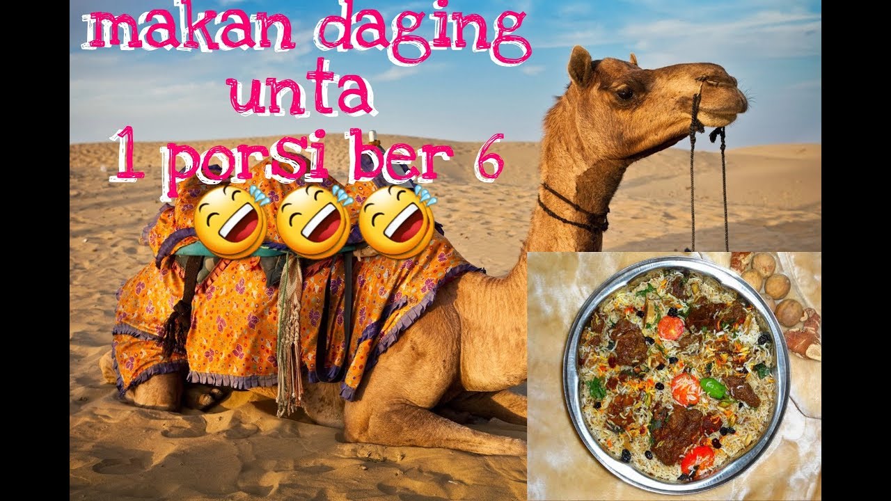 Makan daging unta 1 porsi ber 6 - YouTube