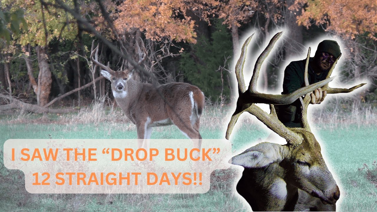 Deer Hunting: The Story of The "Drop Buck" - YouTube