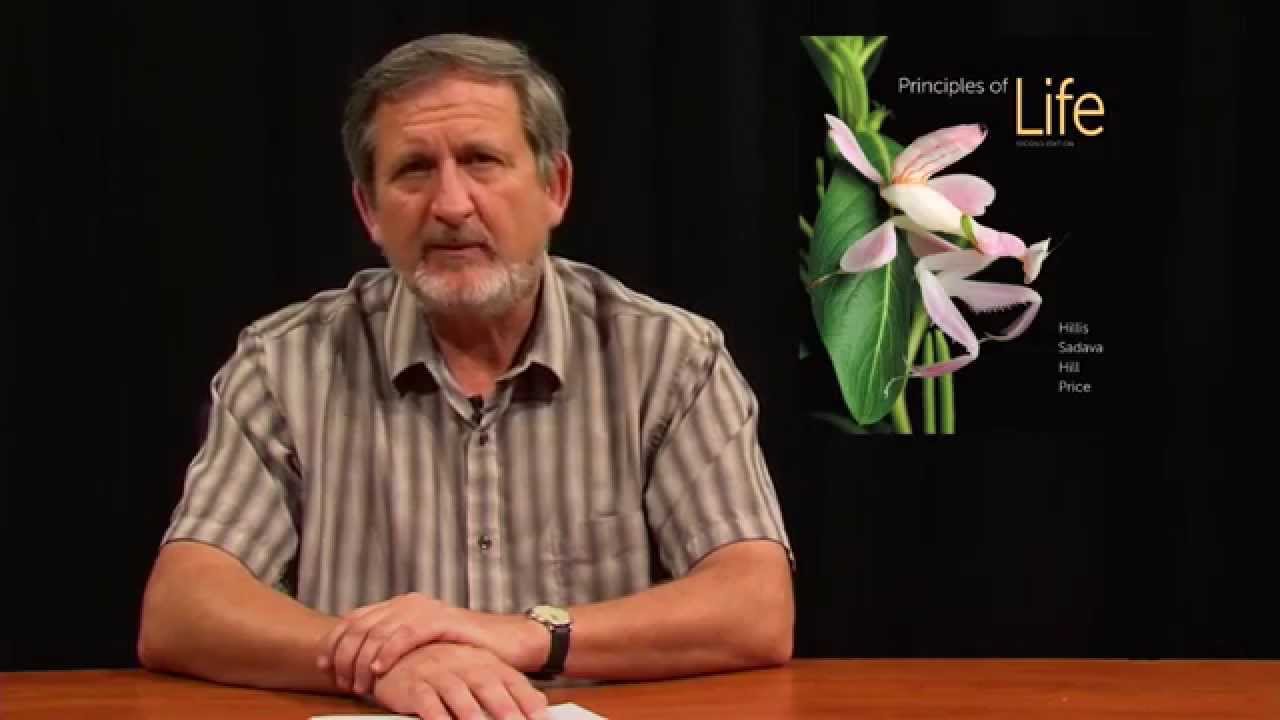 Dr. David Hillis on Principles of Life 2e - YouTube