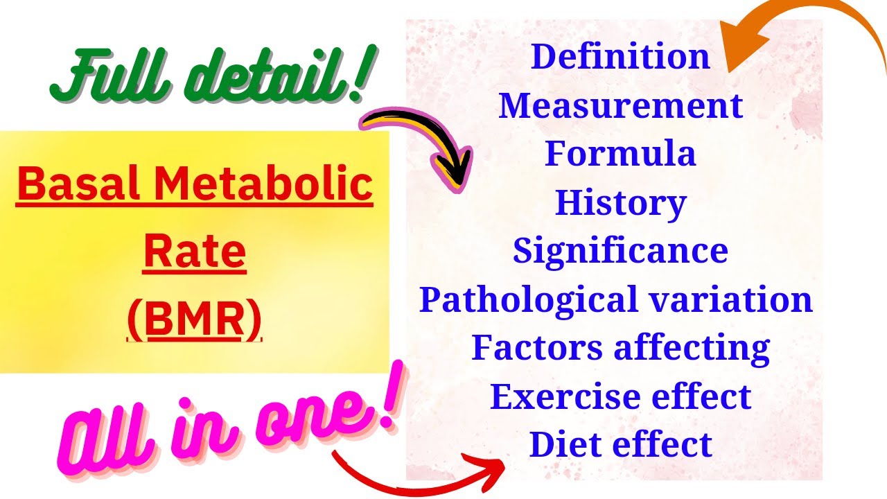 Basal Metabolic Rate- notes from researches all topics covered in one ...