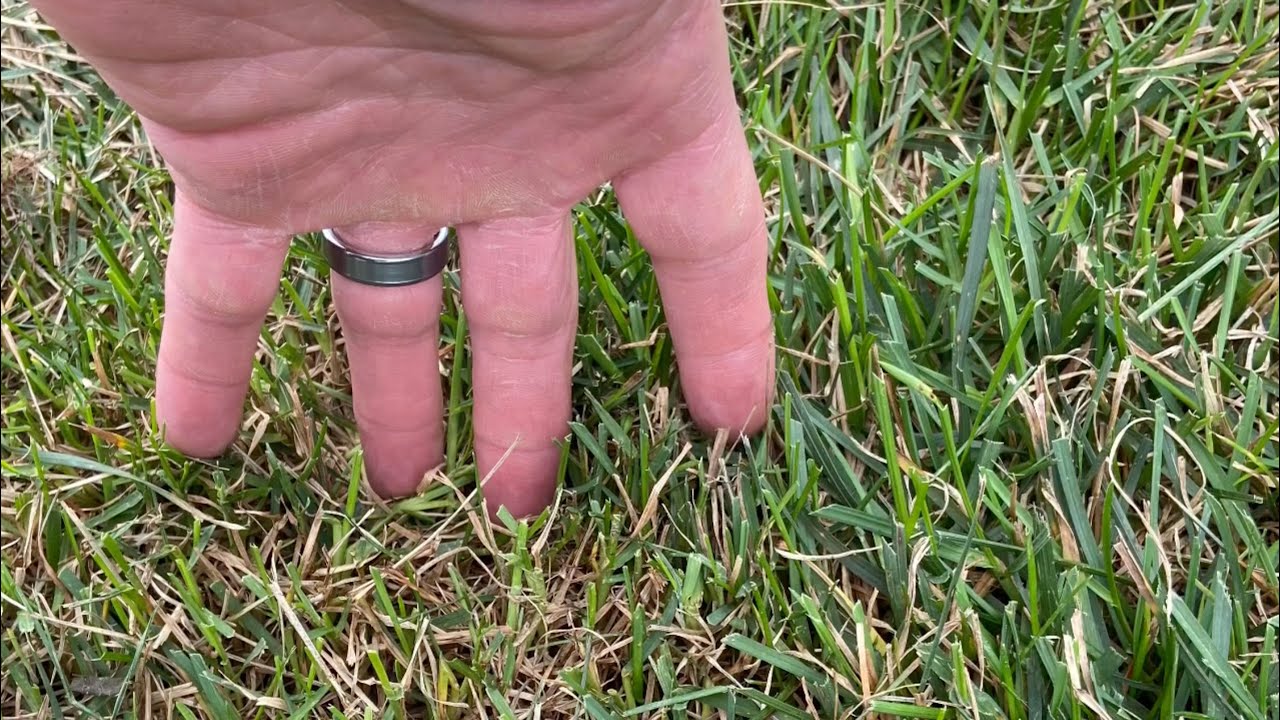 Preparing Your Lawn For A Slice Seeding - YouTube