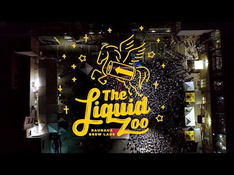 The Liquid Zoo 2022 - YouTube