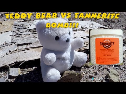 TEDDY BEAR BOMB!