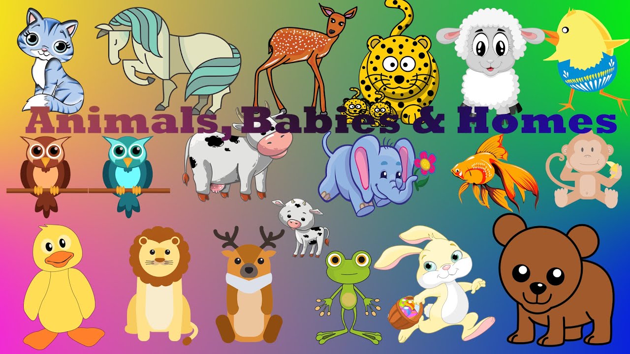 Animals and their babies | Animals and their homes | Animals for kids ...