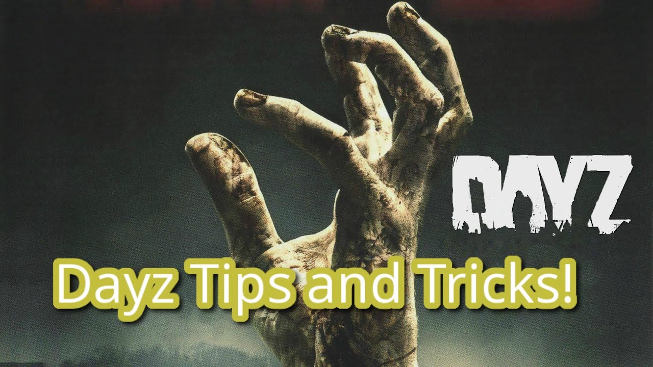 How to Get Started on DayZ - YouTube