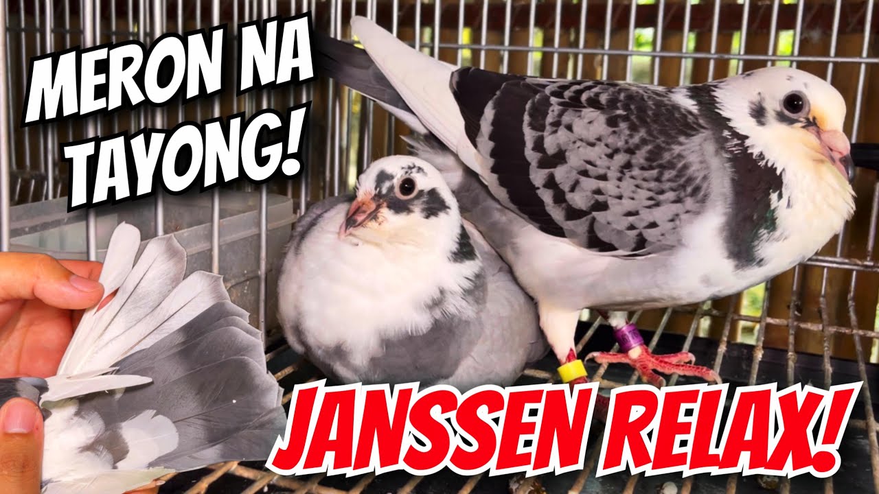 BINIGAY NA KALAPATI SAKIN 🙏 - YouTube