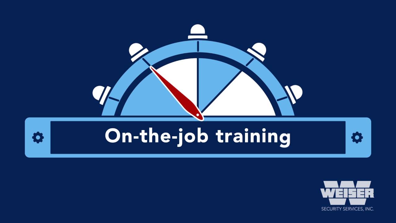 Weiser Security Training - YouTube