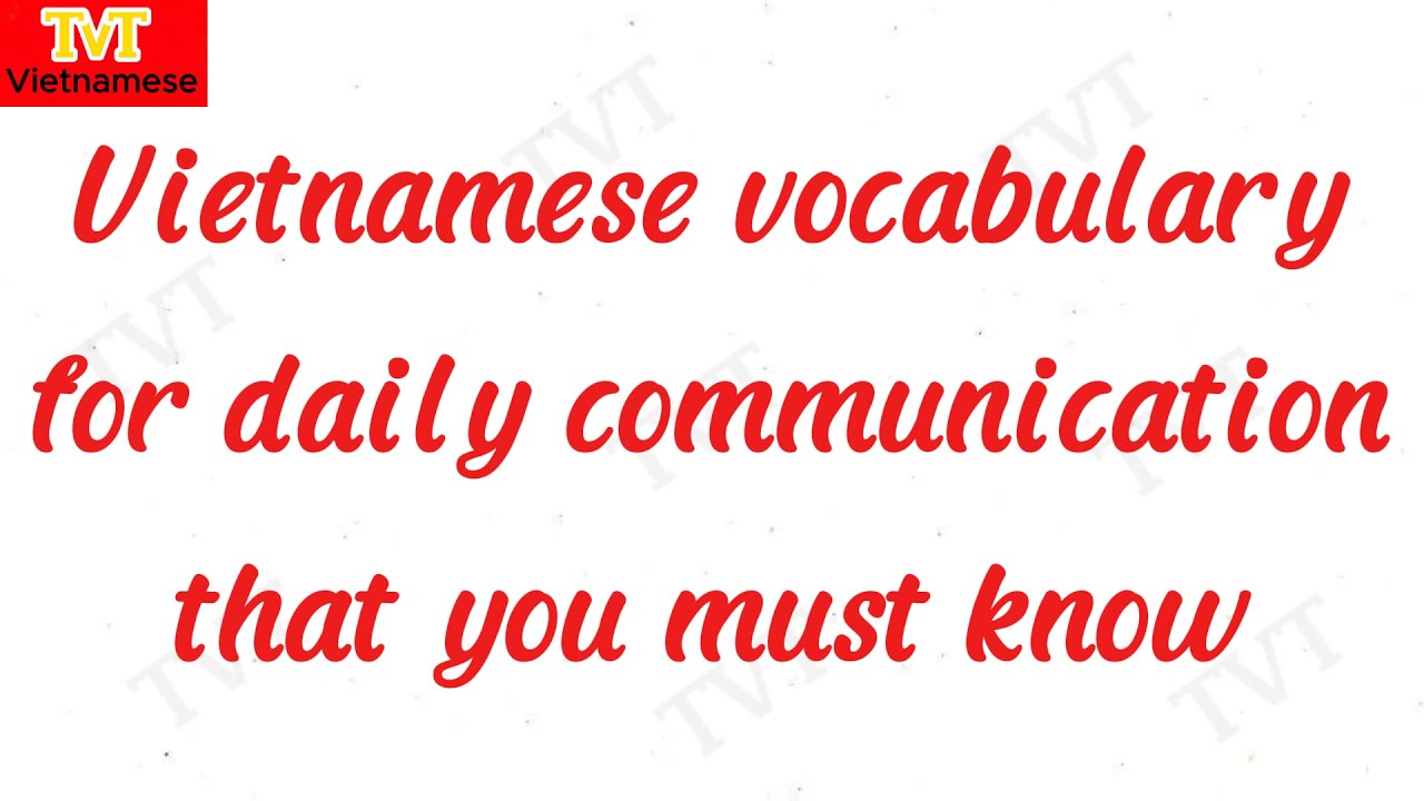 Vietnamese vocabulary for daily communication that you must know /Basic ...