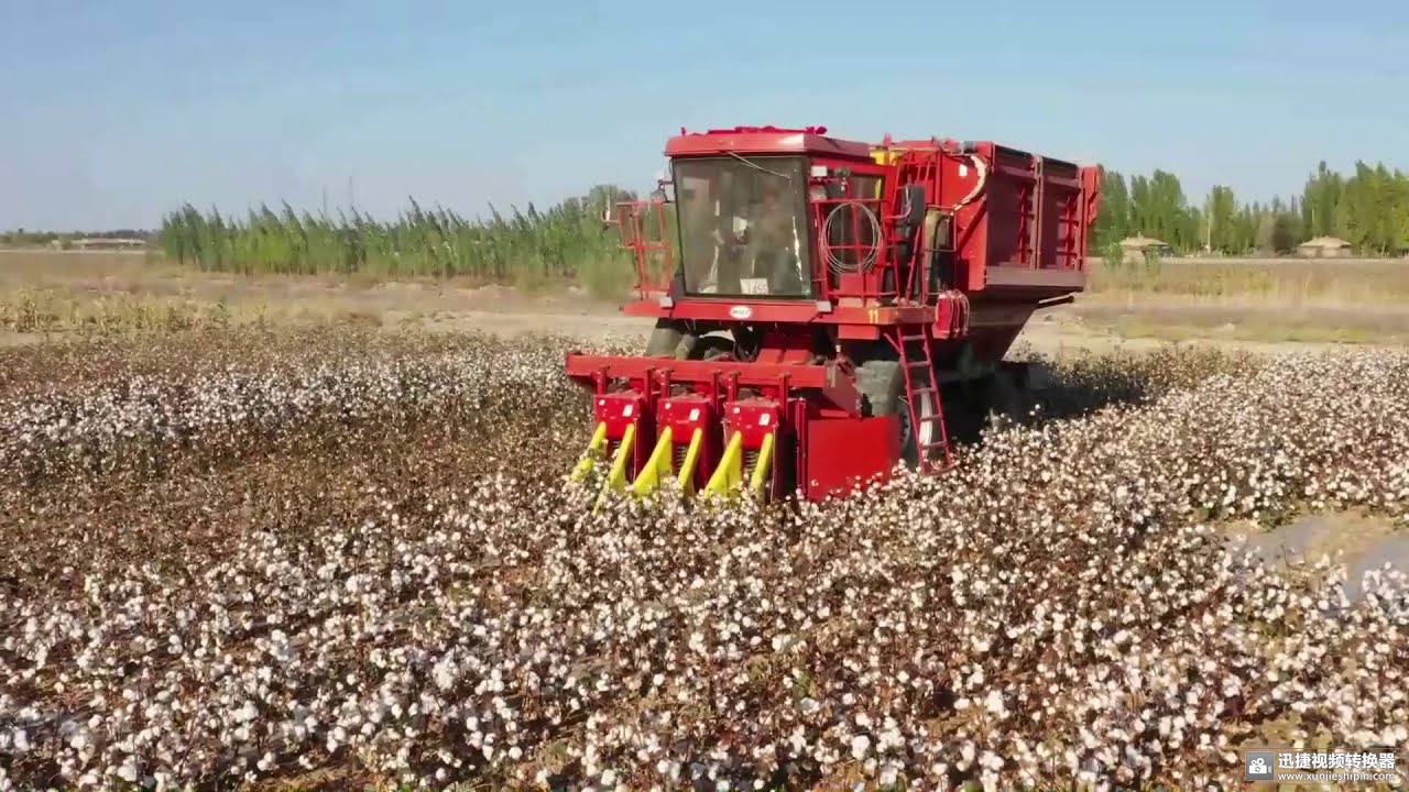 Chinese Cotton Picker/Stripper, Good Choice for You! - YouTube