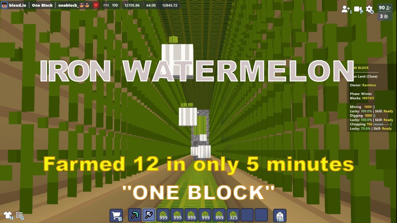 I farmed 12 Iron Watermelon in only 5 Minutes! | Bloxd.io One Block ...