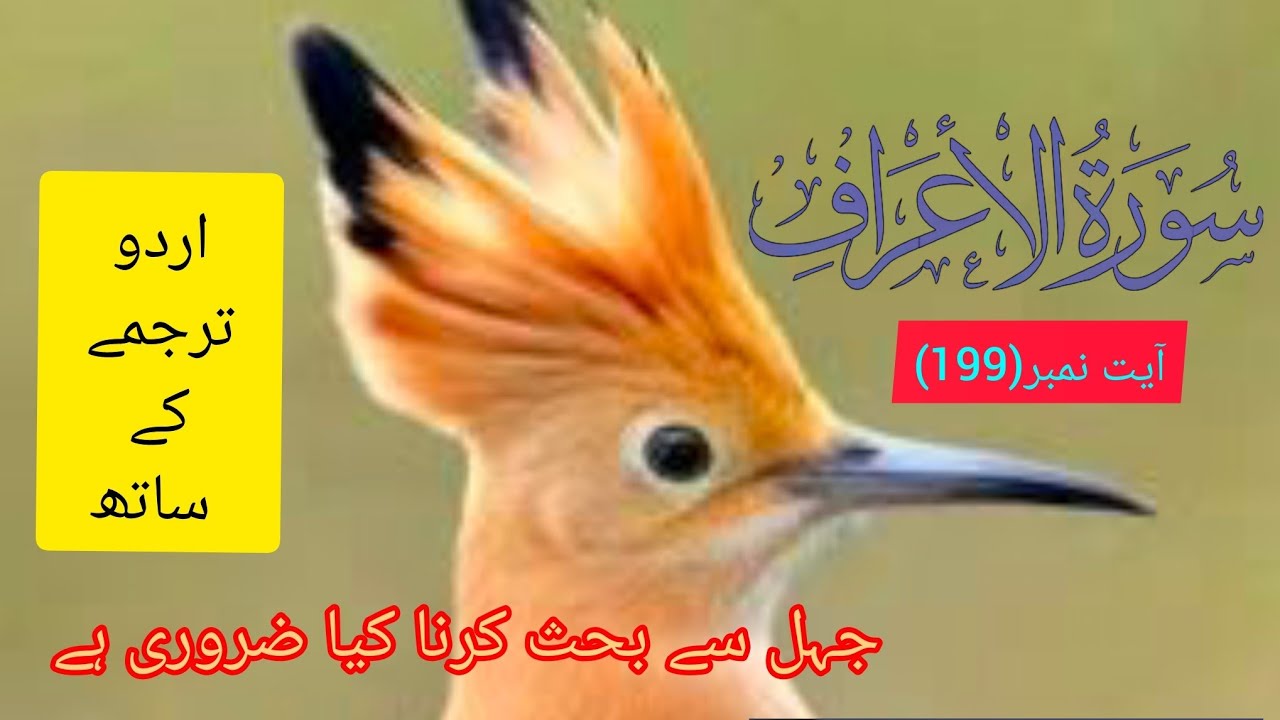 surah al araf ayah nombar(199)urdu transliton - YouTube