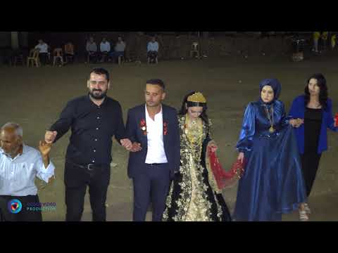 DİYARBAKIRLI APO MURAT YALÇI'NIN DÜGÜNÜ ŞERİKANLI KÖYÜ BÖYLE BİR DÜGÜN GÖRMEDİ part2 ÖZGÜRVİDEO