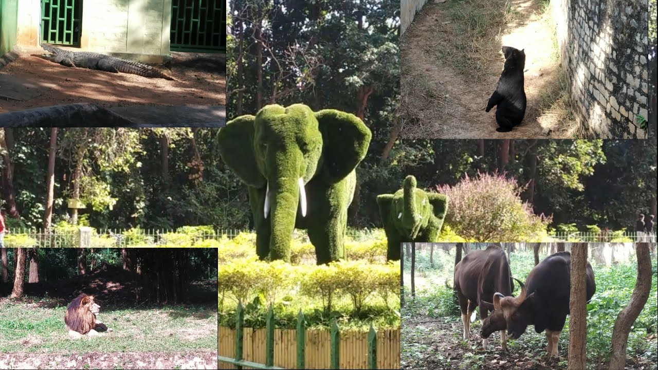 Ormanjhi Park Ranchi | Birsa Biological Park Ranchi | Birsa jaivik ...