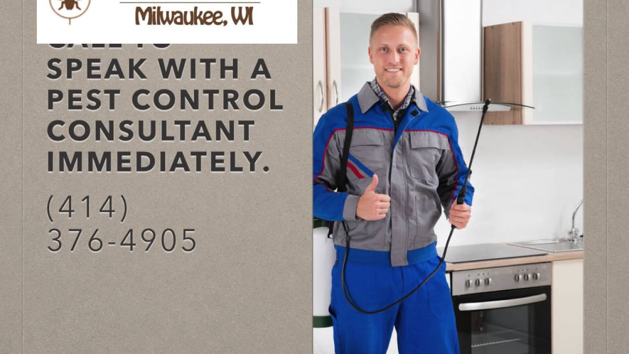 Milwaukee Bed Bug Exterminator - Milwaukee Pest Control Pros - YouTube