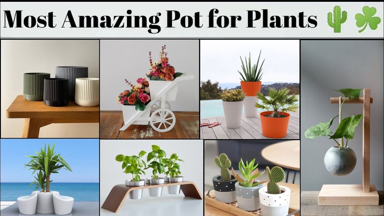 most amazing pot for plants☘️🌵| modern design plant pot | cool design ...