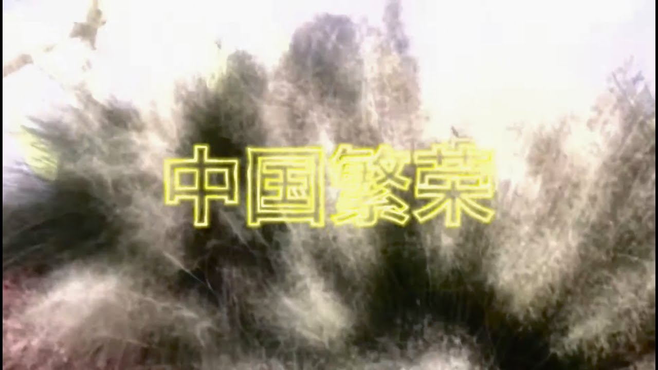 D.O.L.O. - Chinese Boom (Official Music Video) - YouTube