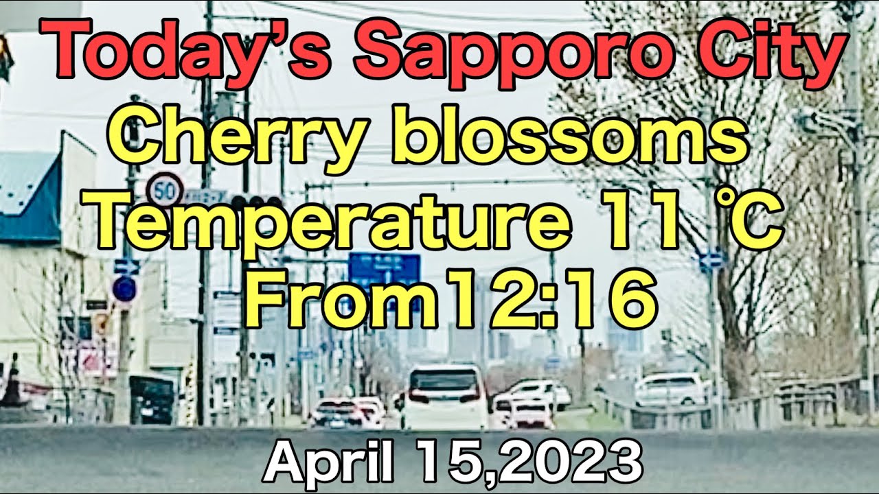 Today’s Sapporo City.Cherry blossoms.Temperature 11 ℃.From 12:16 on ...