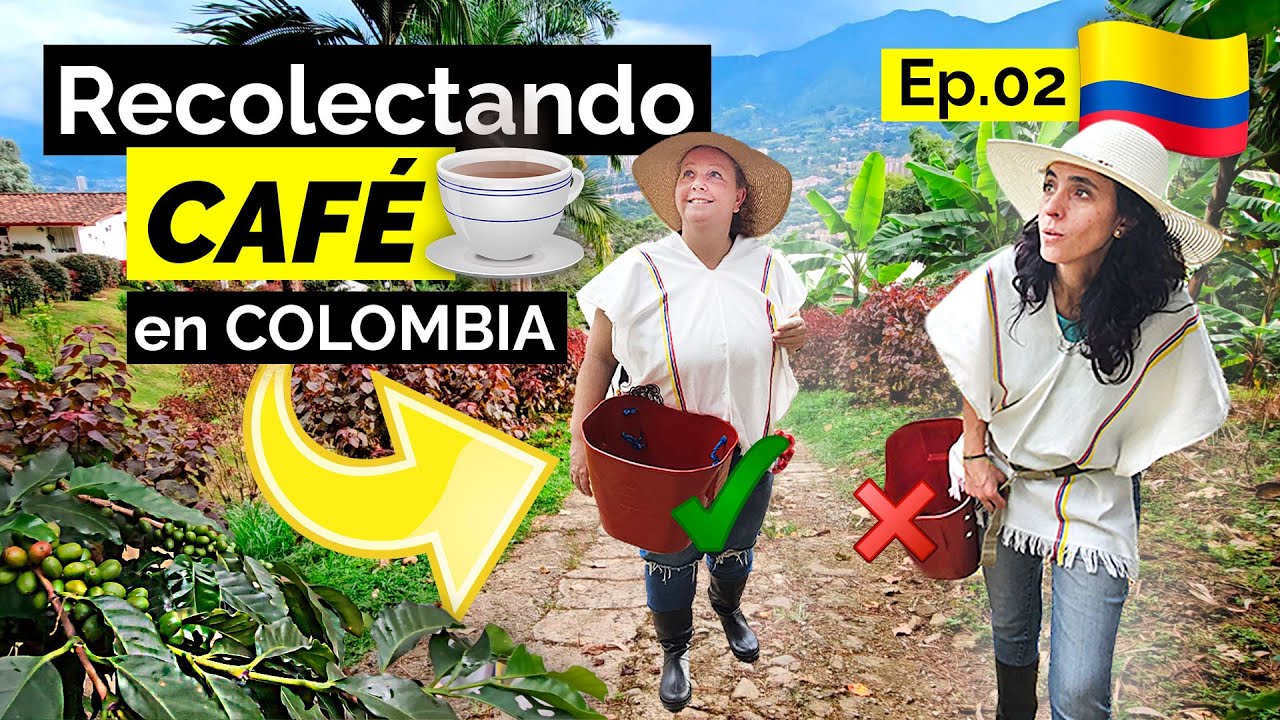 Así es una FINCA CAFETERA en MEDELLÍN, COLOMBIA ☕ | TOUR de CAFÉ - YouTube