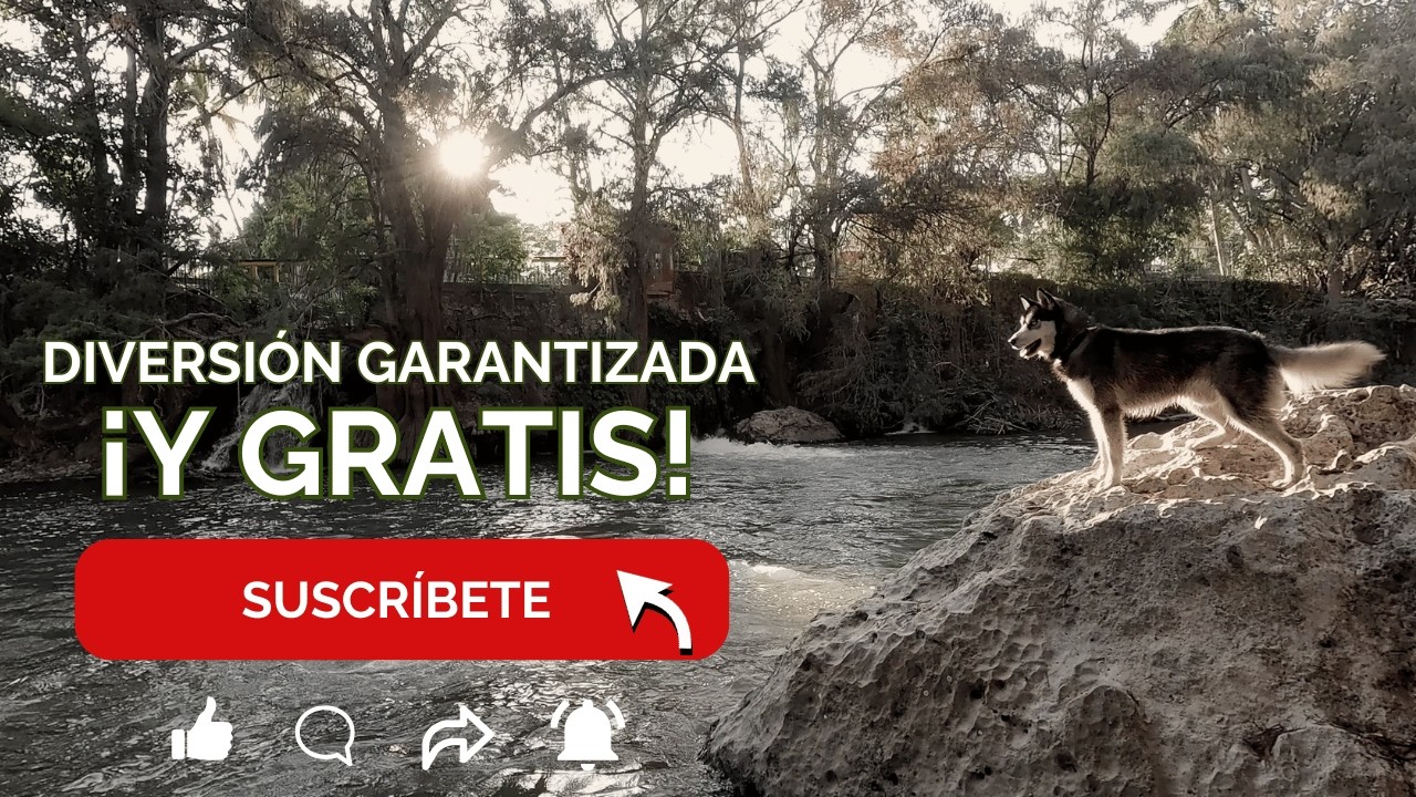 RIO DE TEHUIXTLA. BALNEARIO EN JOJUTLA MORELOS. UN BONITO LUGAR PARA ...