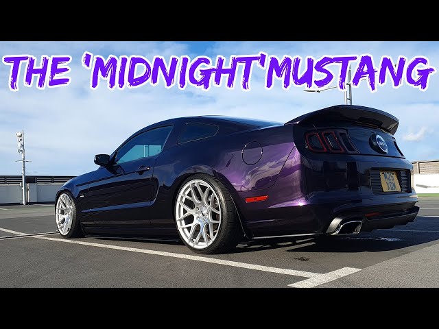 Dark Purple Mustang