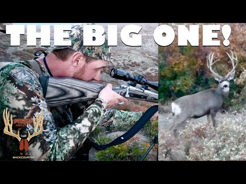 Book Cliffs Deer Muzzy | Double Success - YouTube