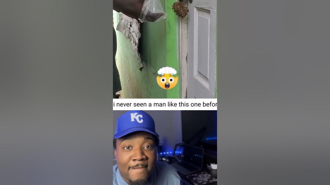 Guy grabs a wasp nest with his bare hands 🫨 #waspnest #waspnestremoval #wasp - YouTube