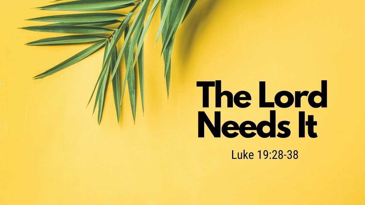 luke-19-vs-28-44-the-lord-needs-it-pastor-verengerai-mavesere-youtube