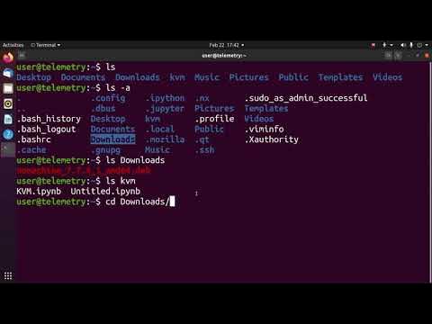 Using the Linux Terminal - YouTube