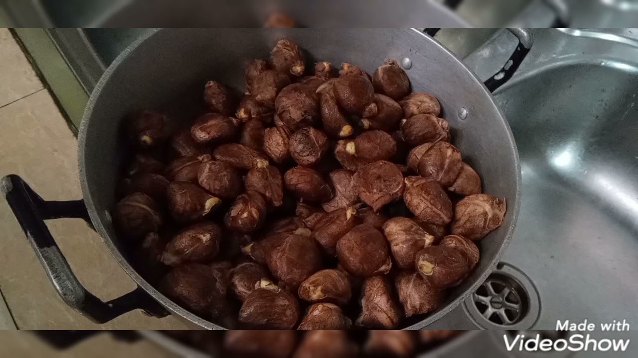 "FRUTIPAN" - YouTube