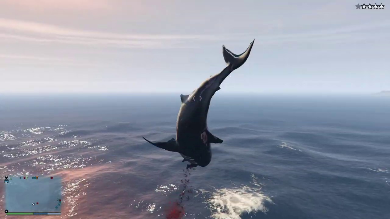 JAWS vs.Coast Guard GTA 5 - YouTube