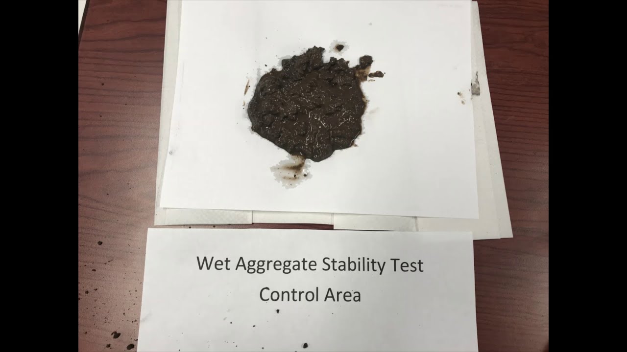 Wet Aggregate Stability Soil Test - YouTube