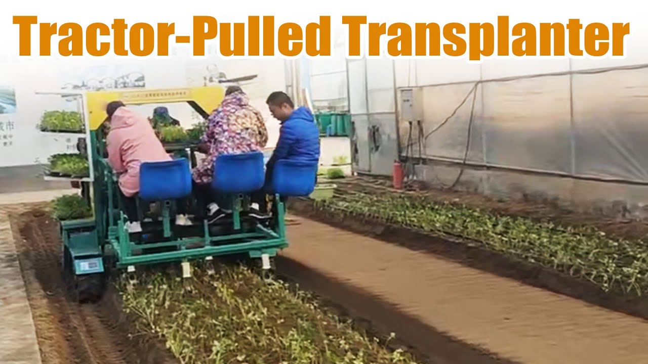 Efficient transplanter working with tractor | Automatic vegetable ...