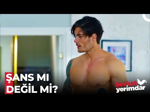 Bora'nın Yaver Giden Şansı - Şevkat Yerimdar