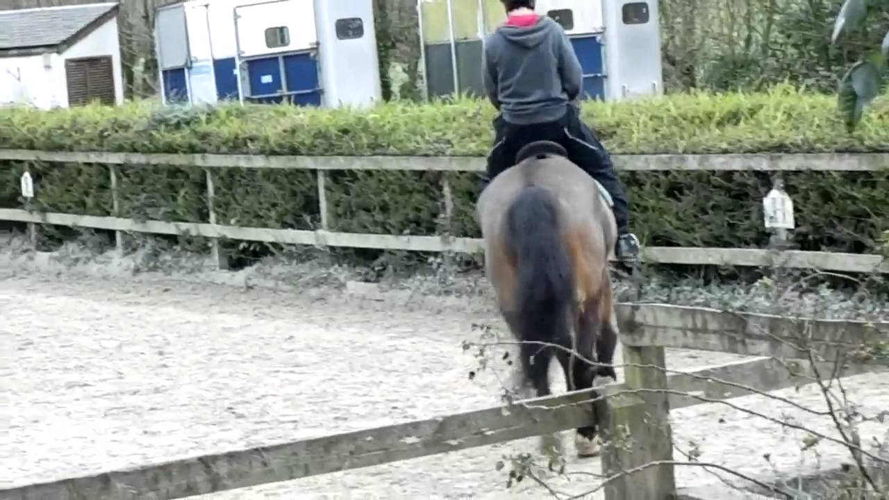 The Boys Horse Riding in Devon 2012 - YouTube