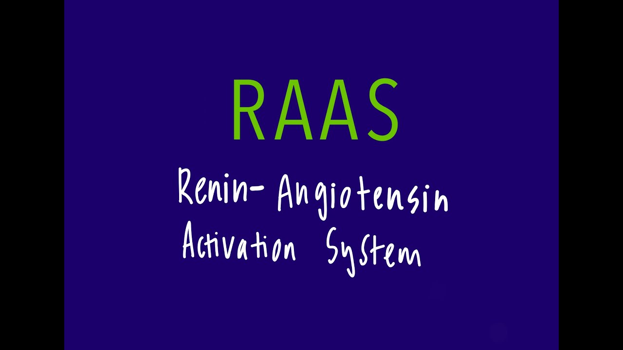 Renin-Angiotensin Activation System (RAAS) - YouTube
