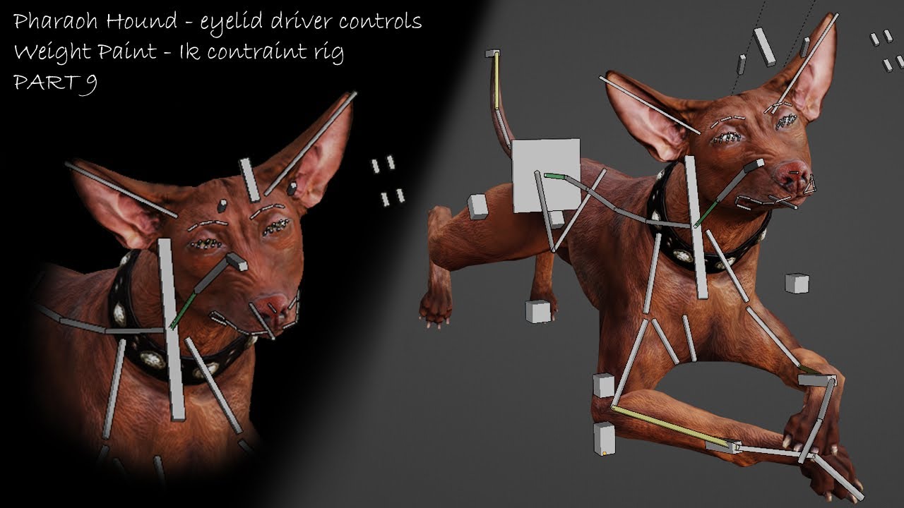 Pharaoh Hound | Dog Armature Skeleton Eye Rig | Paint Weights | Eyelid ...