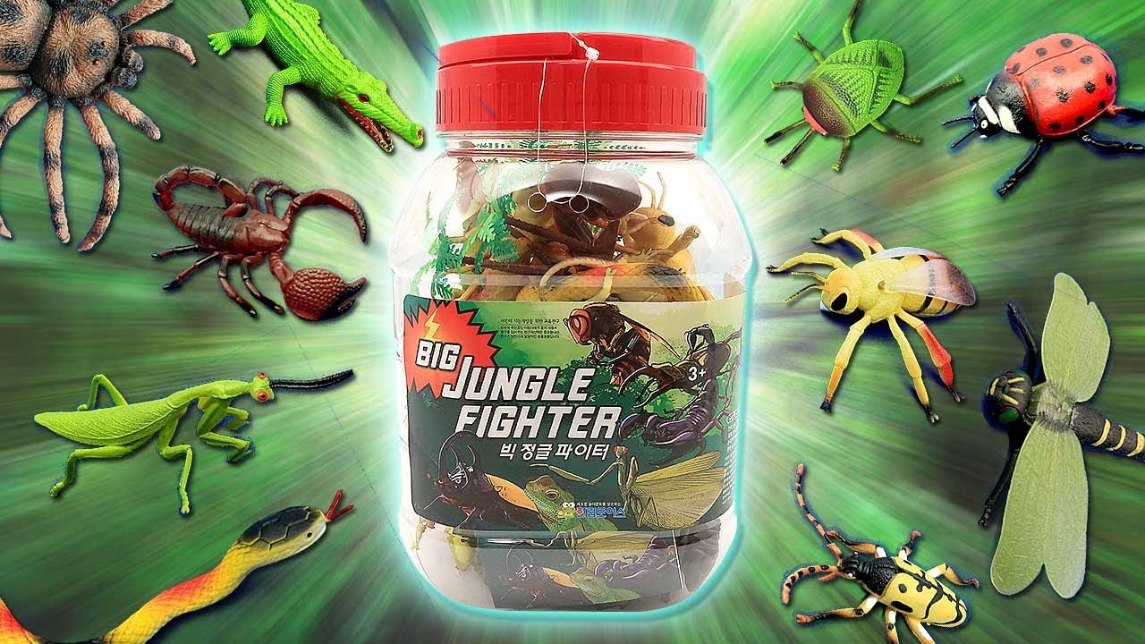Big Jungle Fighter - Learn Insect & Bugs Names For Kids! Big Size ...