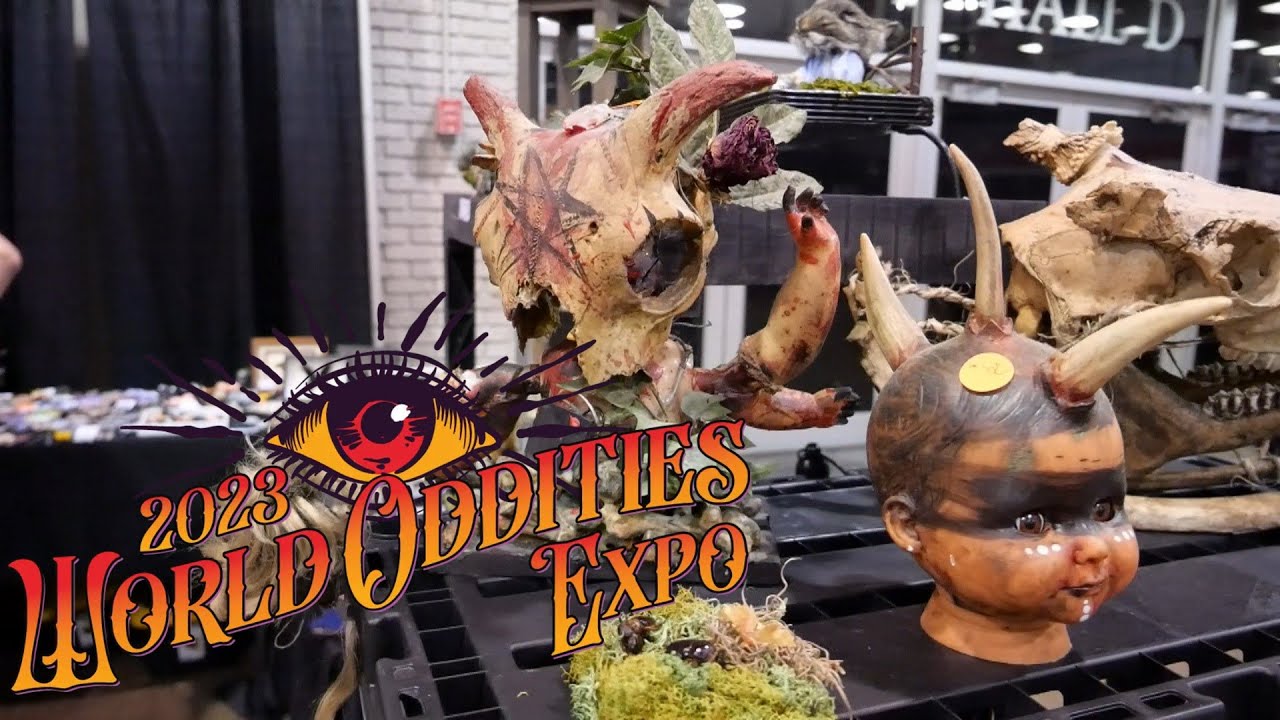 World of Oddities Expo 2023 - YouTube