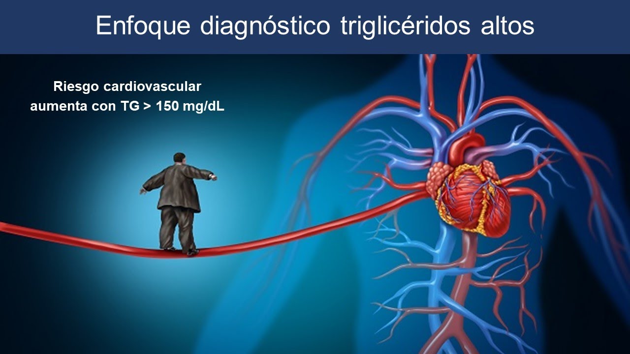 Triglicéridos altos: Aproximación al paciente con hipertrigliceridemia ...