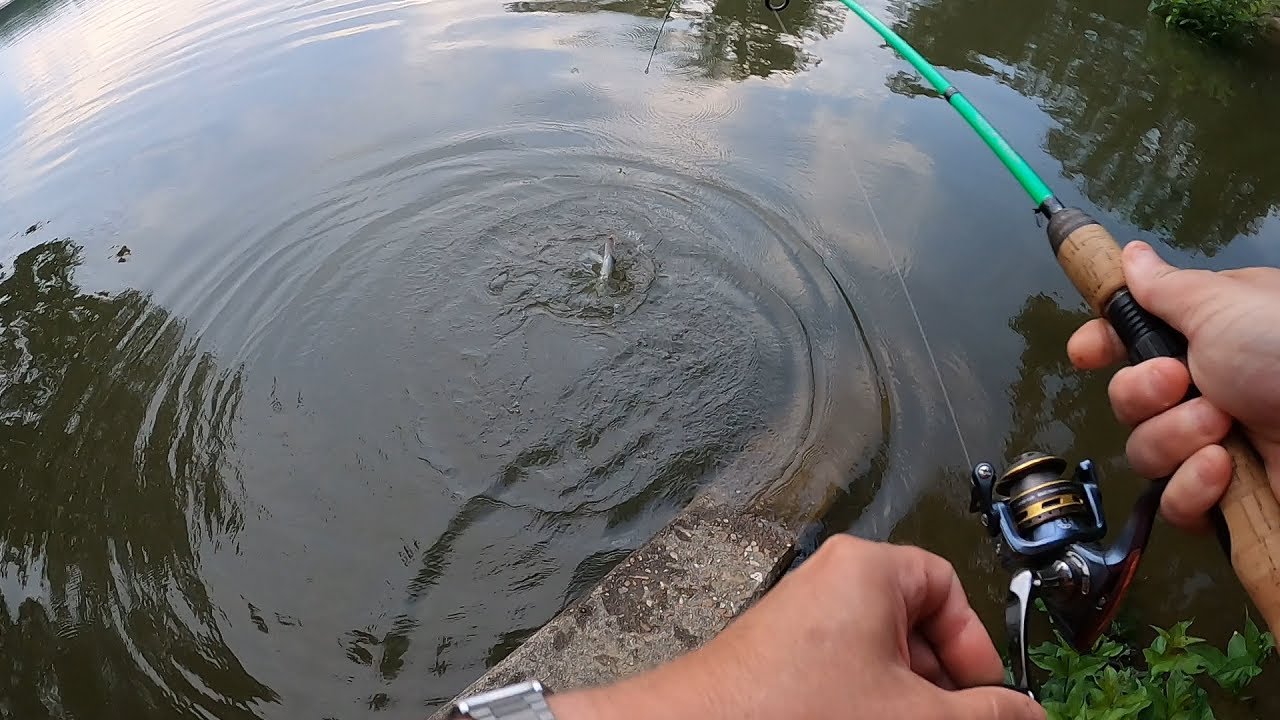 When the line breaks and you still catch the fish! - YouTube