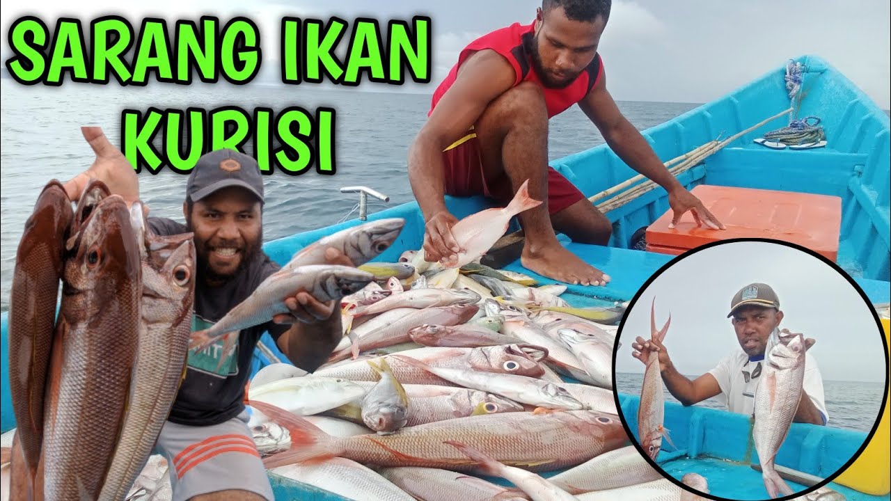 MANCING DI SARANG IKAN KURISI MERAH😱,. Teknik handline #fishing #fyp ...