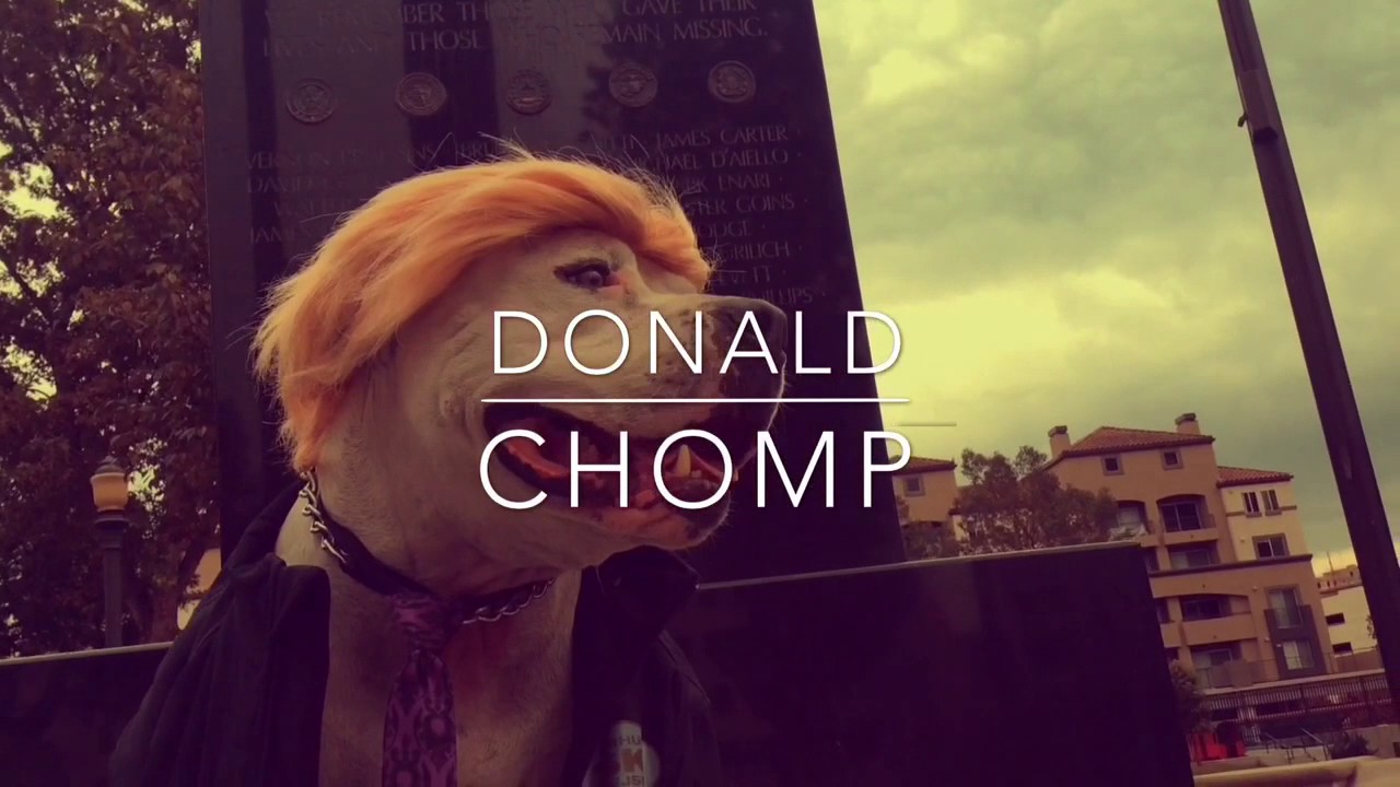 Bear : Make America Chomp Again - Donald Chomp - YouTube