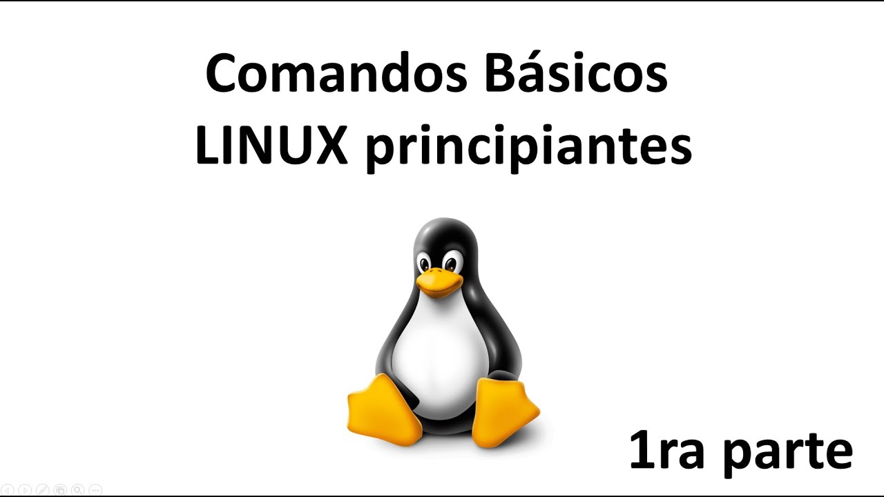 Comandos básicos LINUX para principiantes - 1ra parte - YouTube