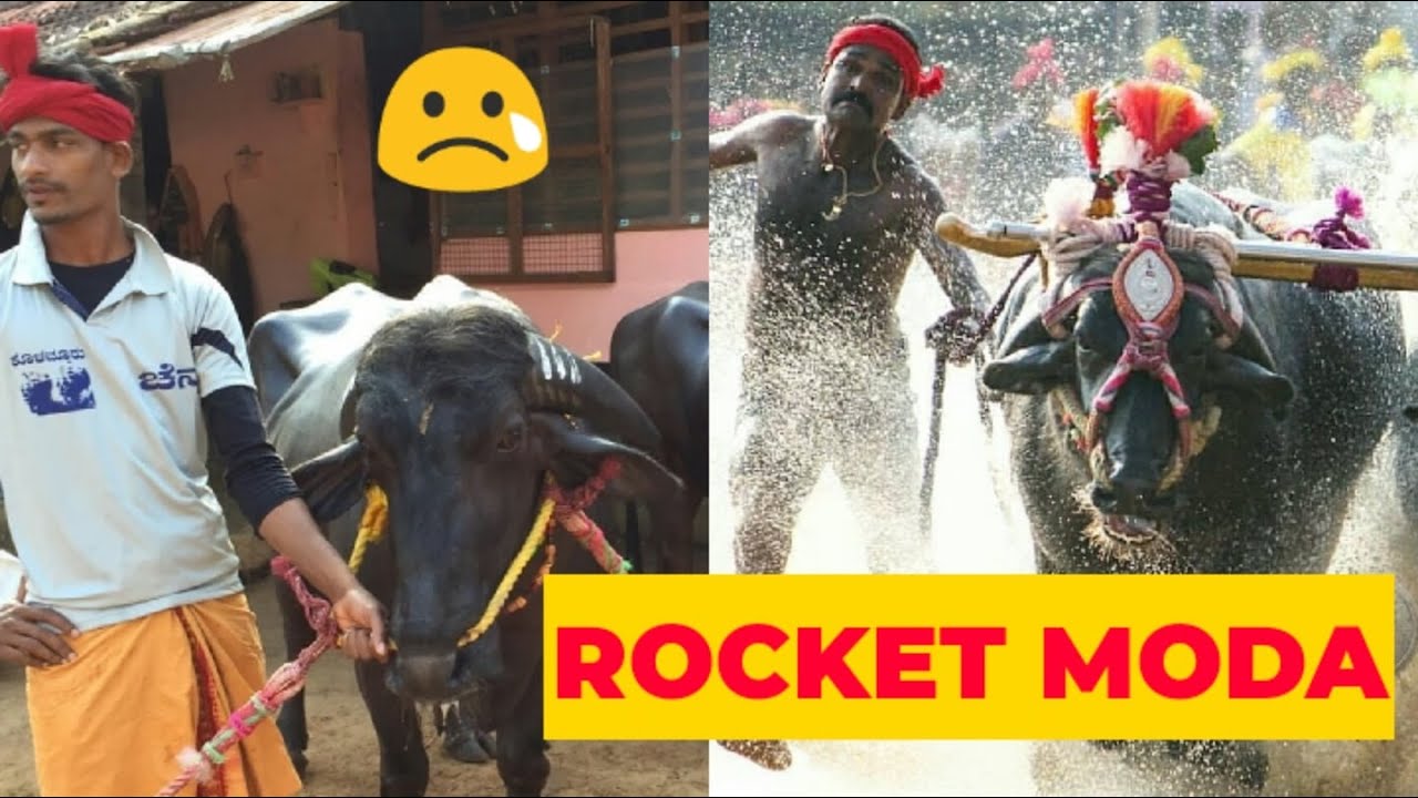 KAMBALA-ROCKET MODA BEST RACE COLLECTION || ರಾಕೆಟ್ ಮೋಡ || - YouTube