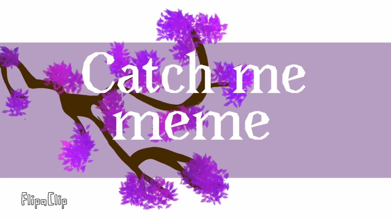 catch me(animation meme) - YouTube