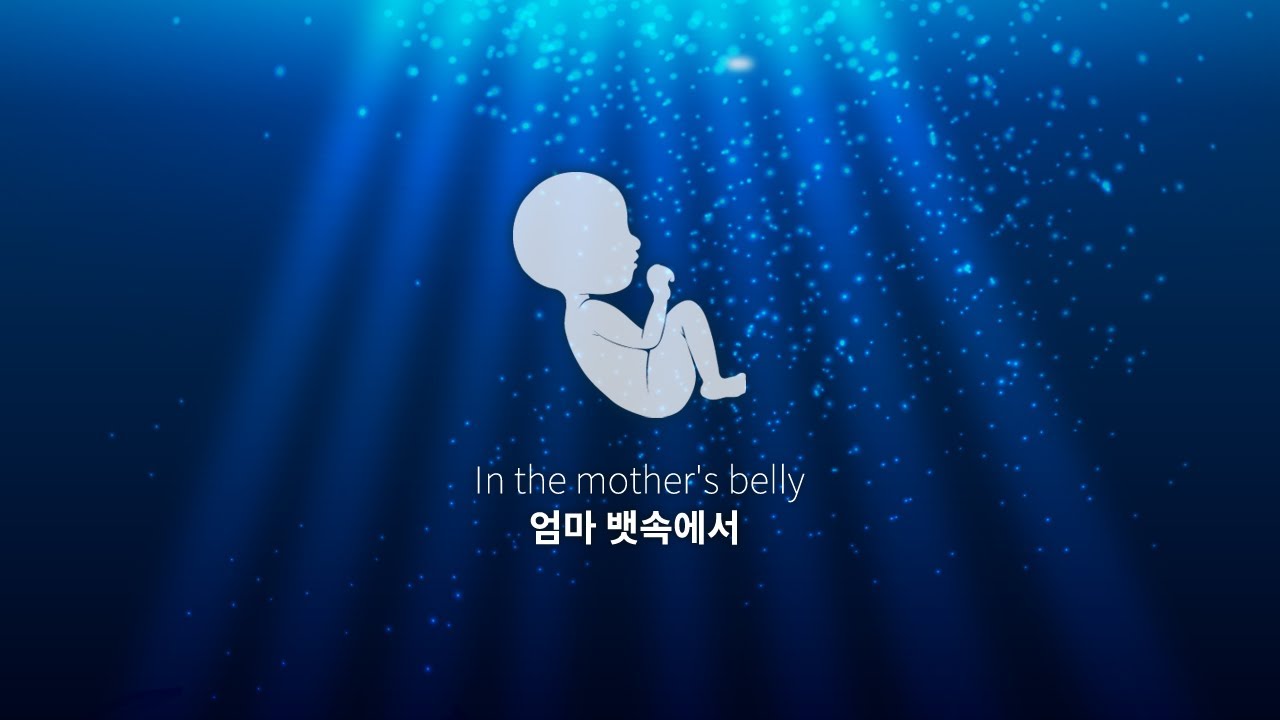 🎧 In the mother`s belly | bedtime sleeping Sound for baby | womb sound ...