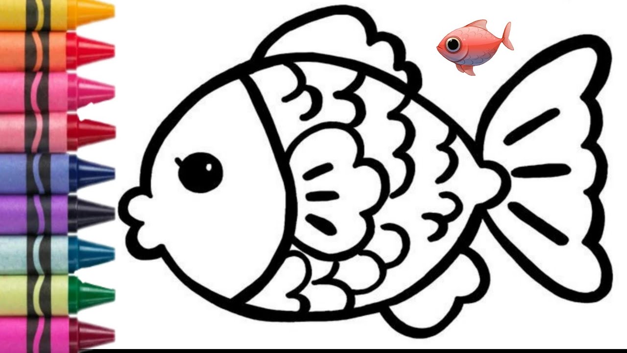 how to colours in fish || colour full fish || by Iram zohaib - YouTube