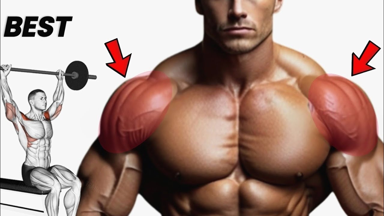 Best Top 5 Shoulder and 5 Bicep Exercises To Bigger Shoulder and Tricep ...