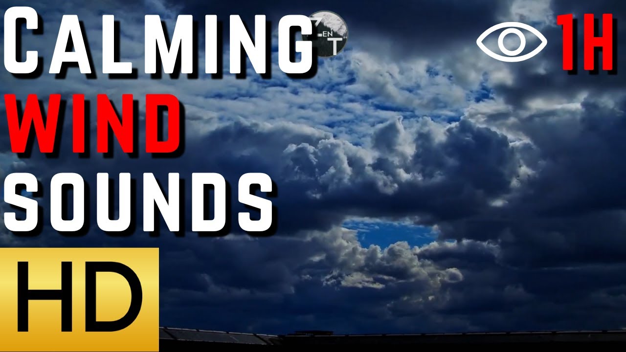 Windy Wind Sounds for Anxiety - YouTube