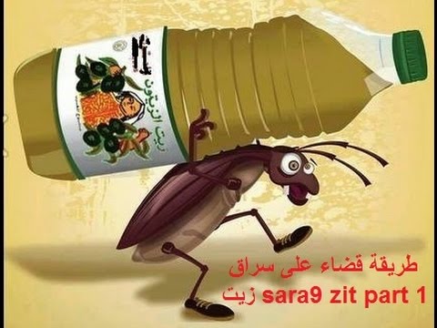 طريقة قضاء على سراق زيت sara9 zit part 1 - YouTube